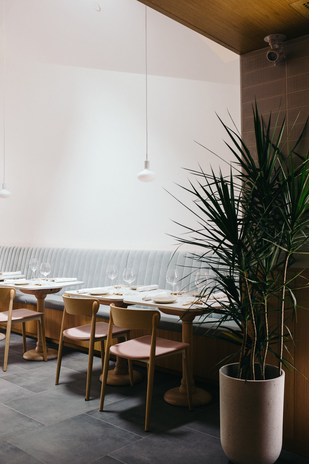 Restaurant Sara — Toronto | Céragrès